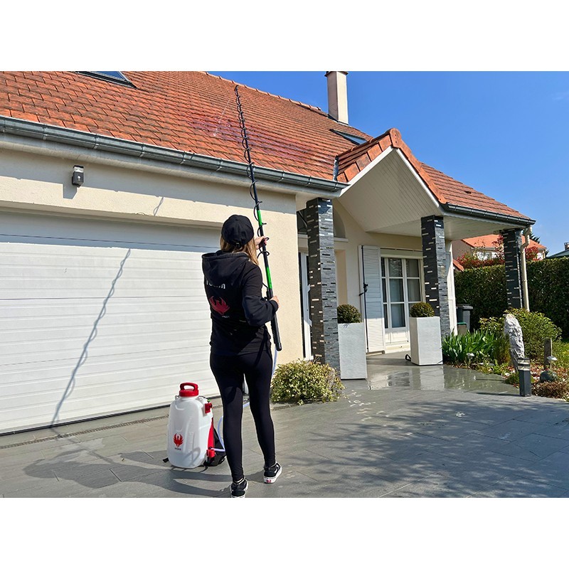 Pulverisateur électrique DORSAL SPRAYER PHOENIX 1 Batterie + Perche ...